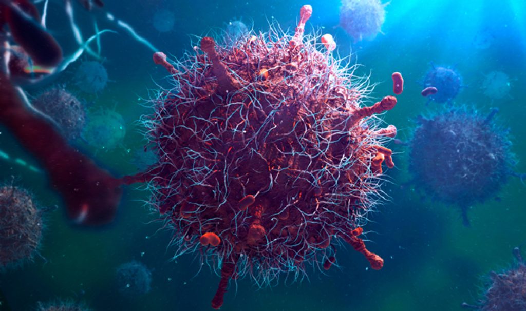 Virus Structure Definition Classification