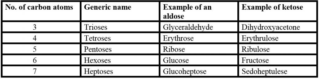 Polysaccharide |Definition, Structure , Functions & Examples
