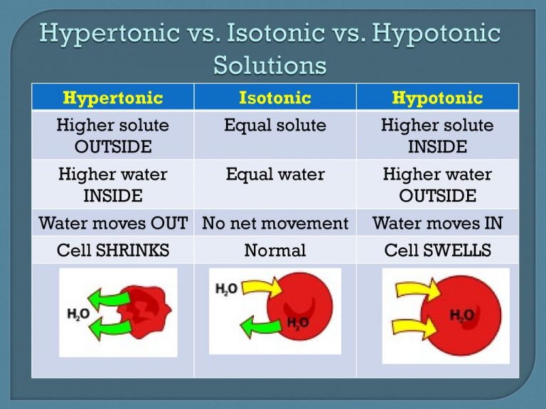 Tonicity Hypotonic Hyertonic Isotonic Solutions Tonicity Hypotonic Hyertonic Isotonic Solutions