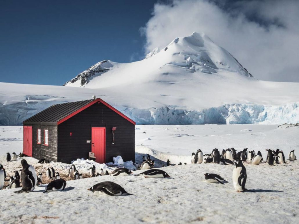 Antarctica | Introduction, Location, Animals & Facts